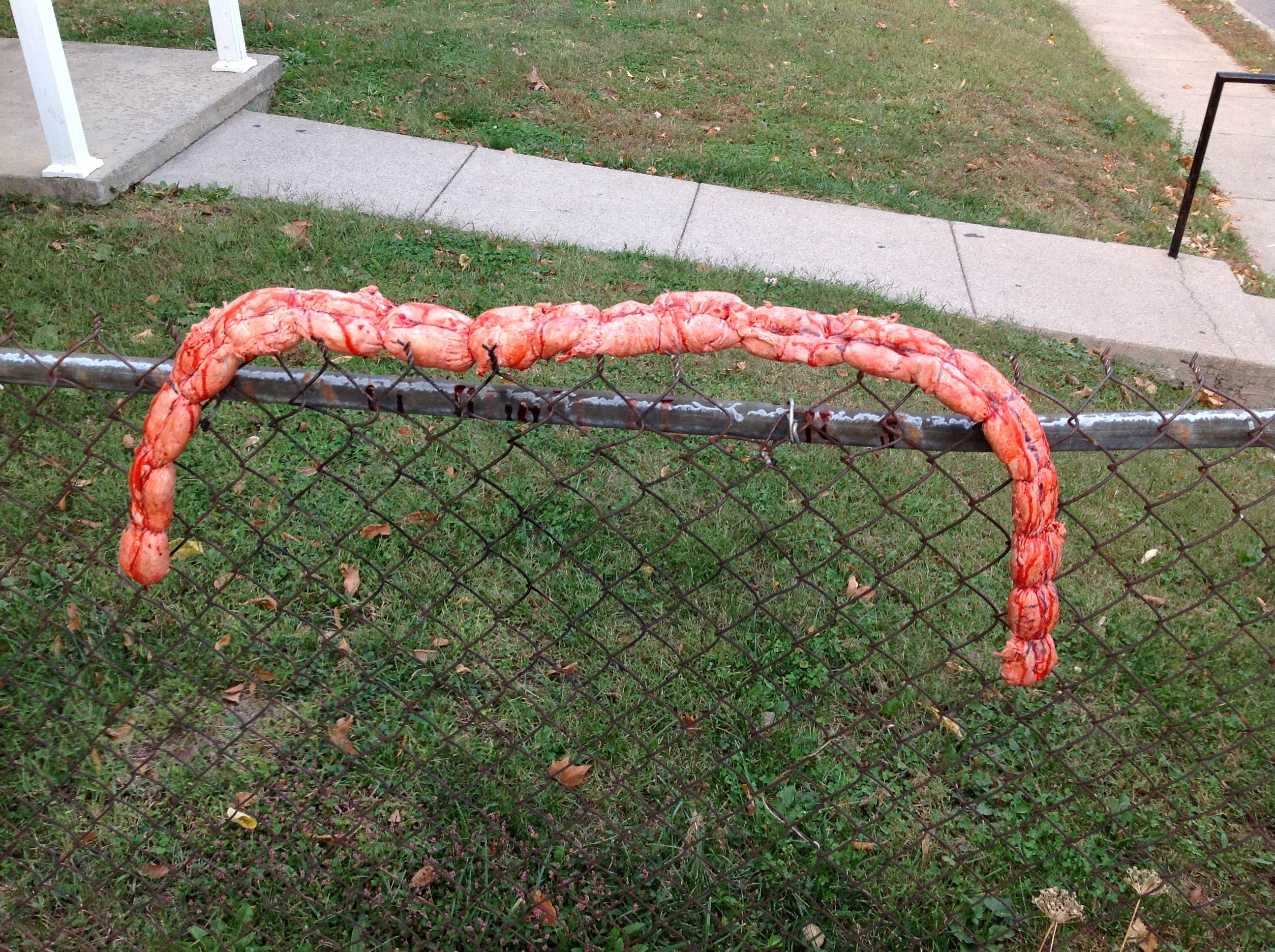 Fake Intestines : 7 Steps (with Pictures) - Instructables
