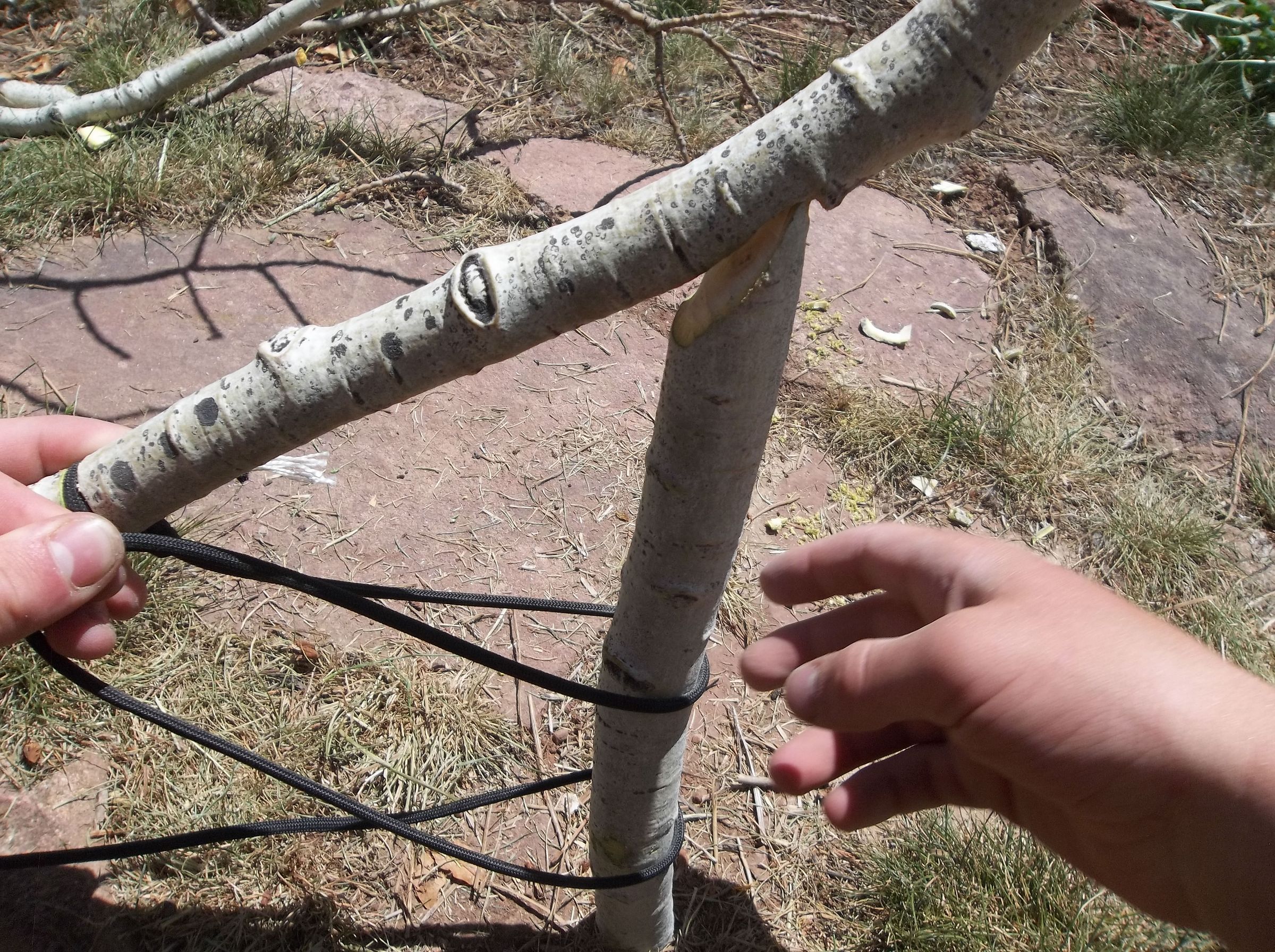 Paiute Deadfall Trap : 4 Steps (with Pictures) - Instructables