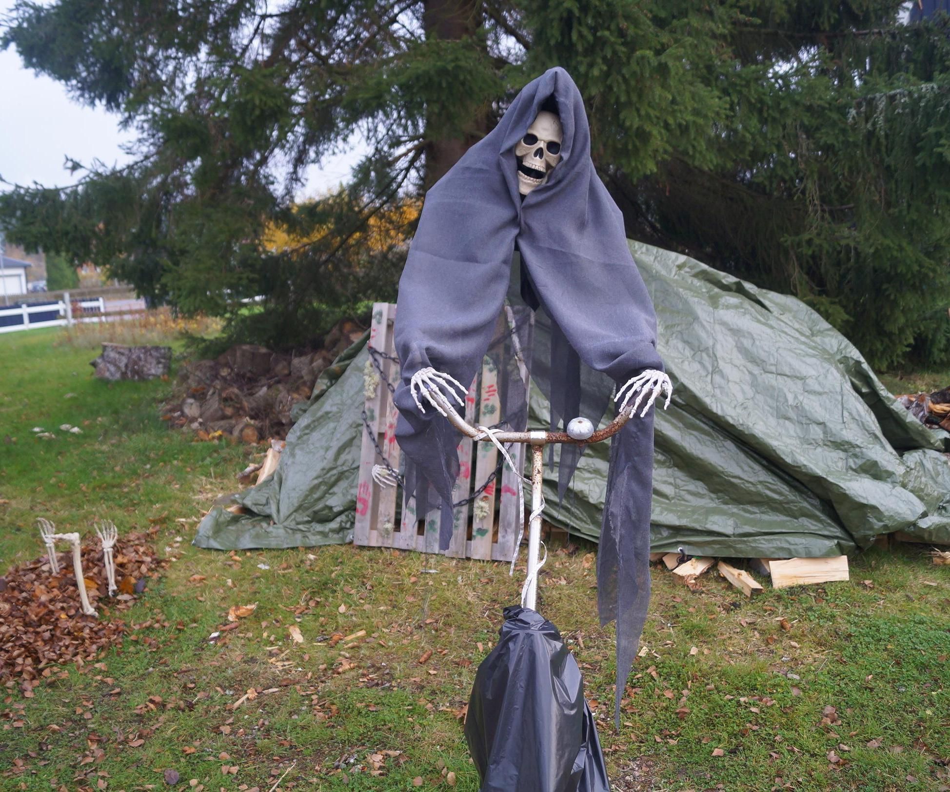 Riding Skull : 11 Steps (with Pictures) - Instructables