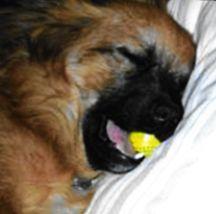 The Arduino Hang Guardian - Arduino Watchdog Timer Tutorial : 6 Steps - Instructables