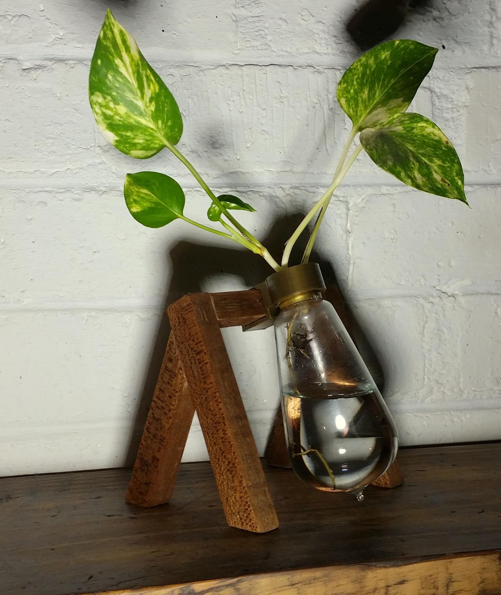 Repurpose Old/Blown Light Bulbs : 4 Steps (with Pictures) - Instructables