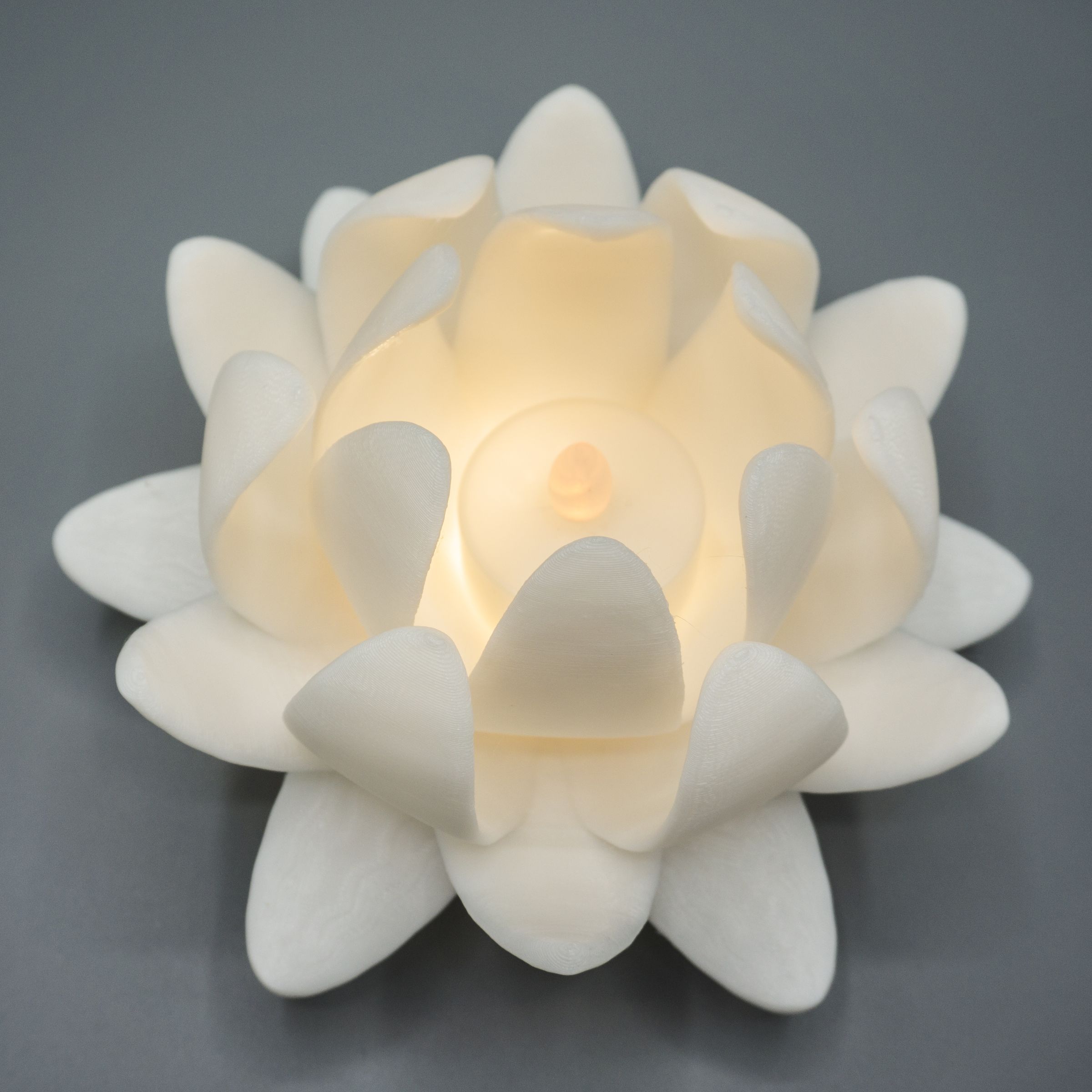 How to Model and Paint a 3D Printed Lotus Flower : 8 Steps (with ...
