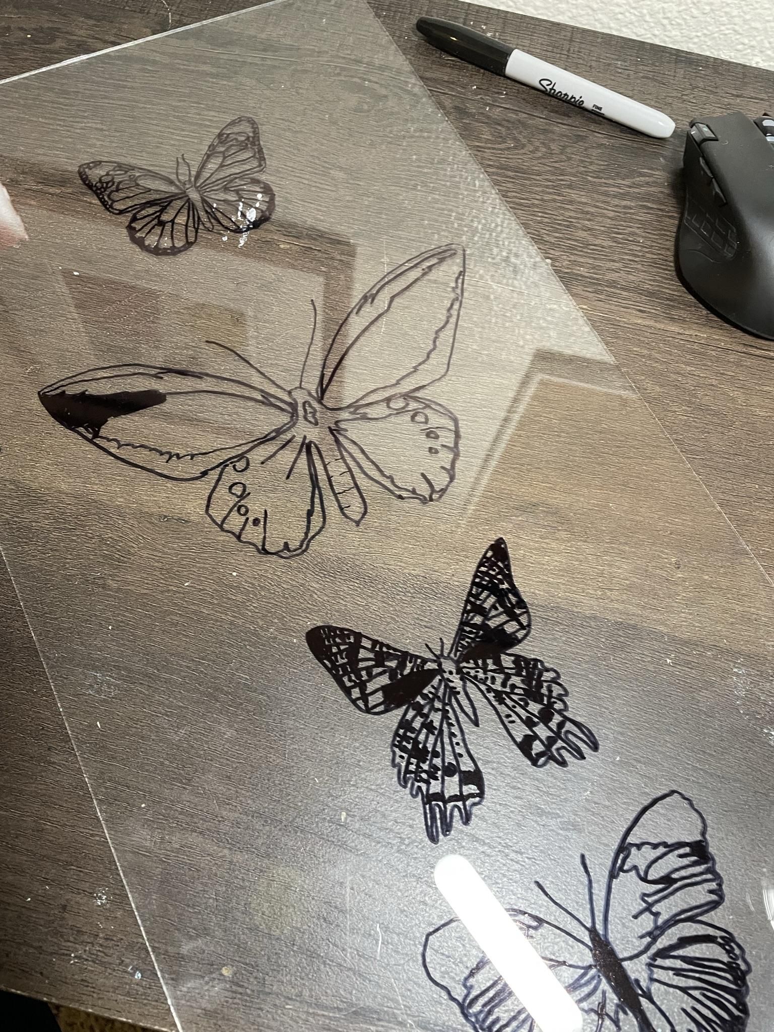 Painted Butterfly Mounts : 6 Steps (with Pictures) - Instructables