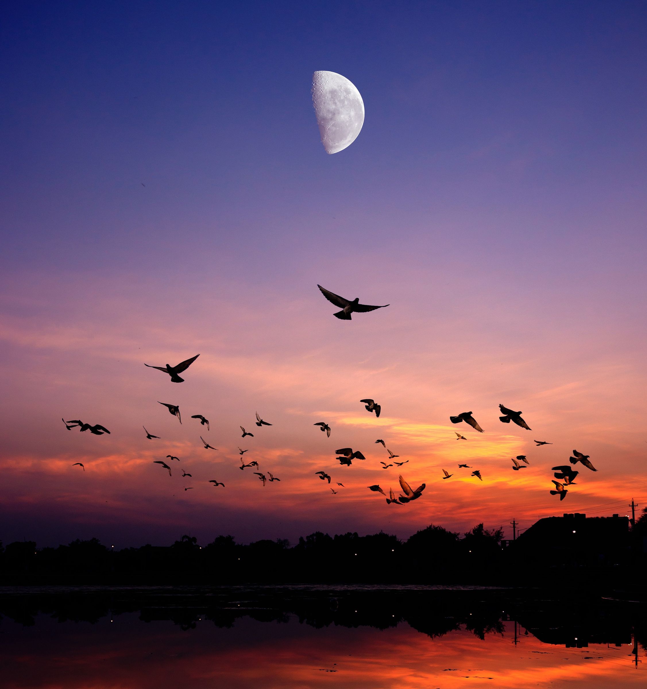 Moon Photography Guide for Beginners (using an Entry-level Camera and ...