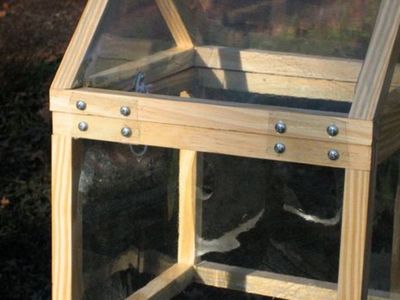 Countertop Greenhouse : 5 Steps (with Pictures) - Instructables