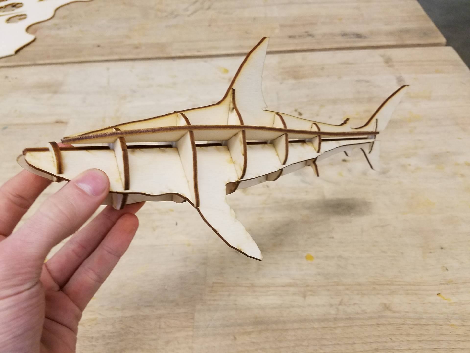Laser Cut Shark : 4 Steps (with Pictures) - Instructables