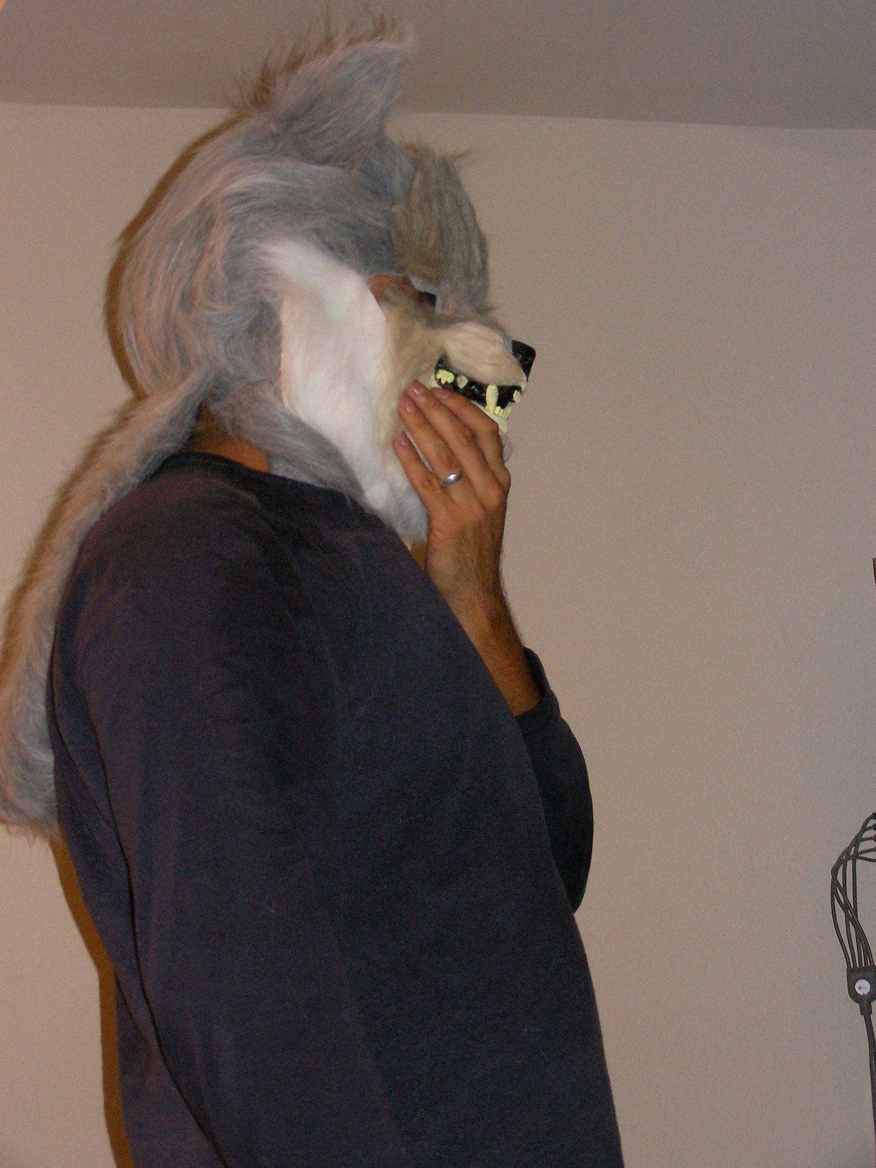 Big Bad Wolf Costume : 5 Steps (with Pictures) - Instructables