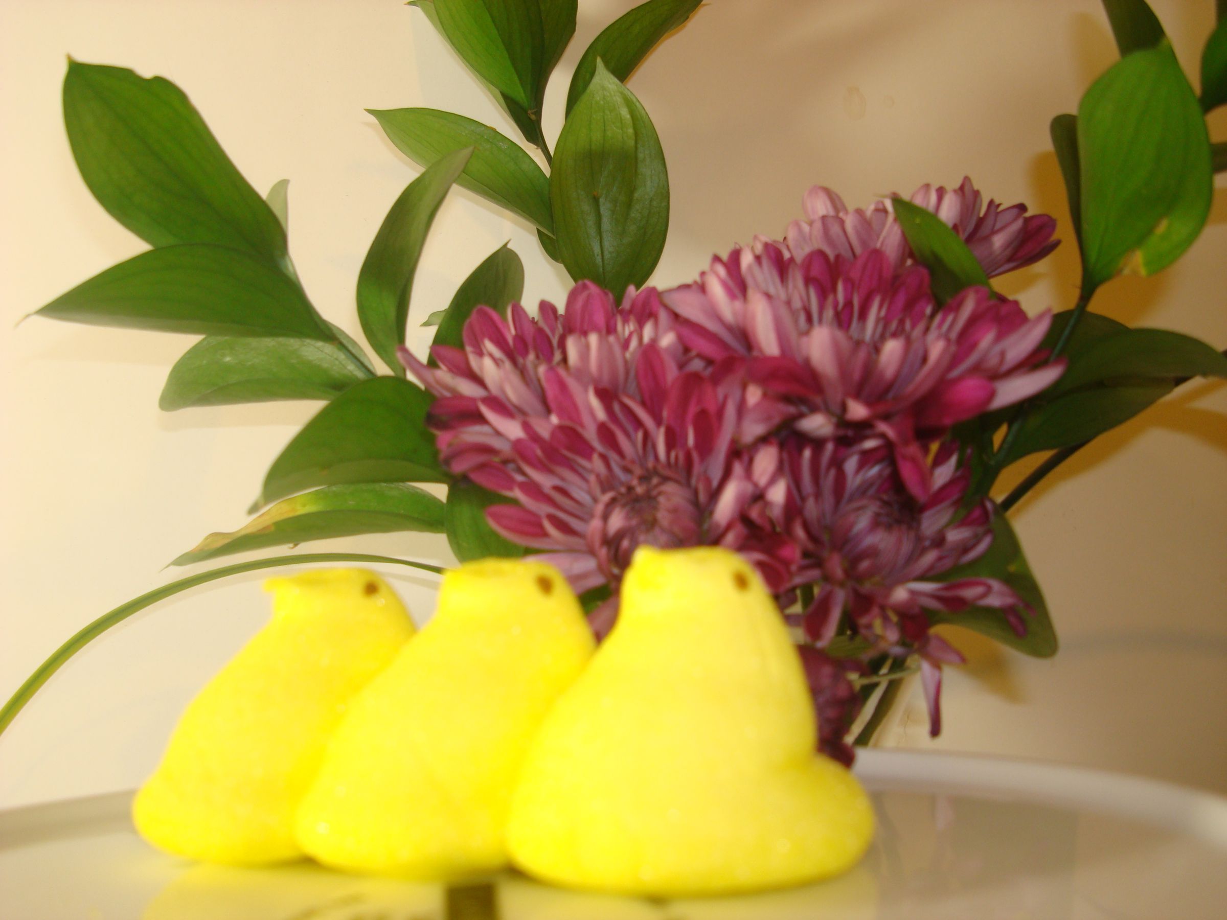 Fresh Cut Flower Preservative : 6 Steps - Instructables