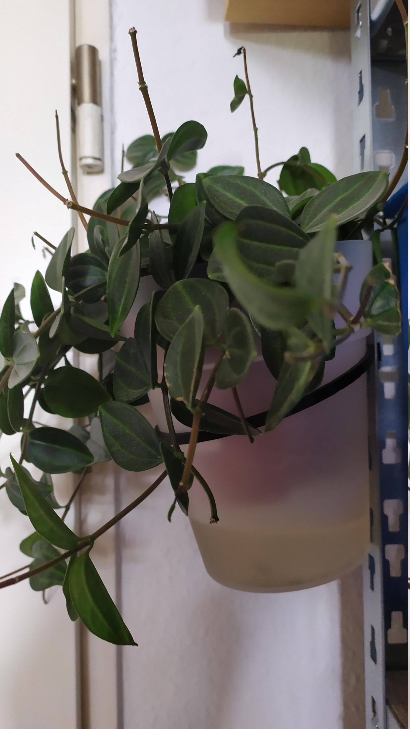 Storage Shelf/heavy Duty Rack Attachments : 5 Steps (with Pictures ...