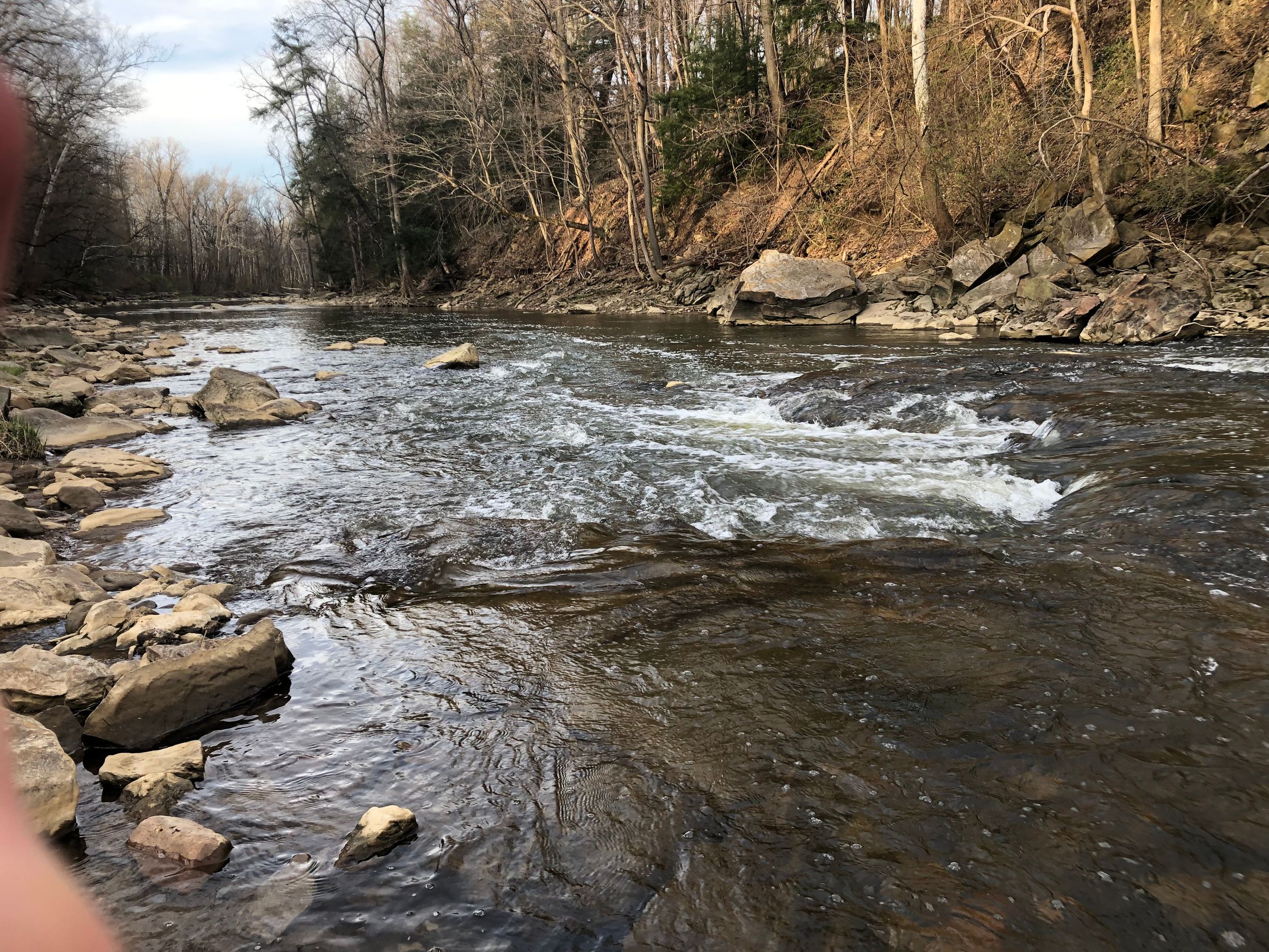 Log Path Cut Into a Hill : 5 Steps (with Pictures) - Instructables