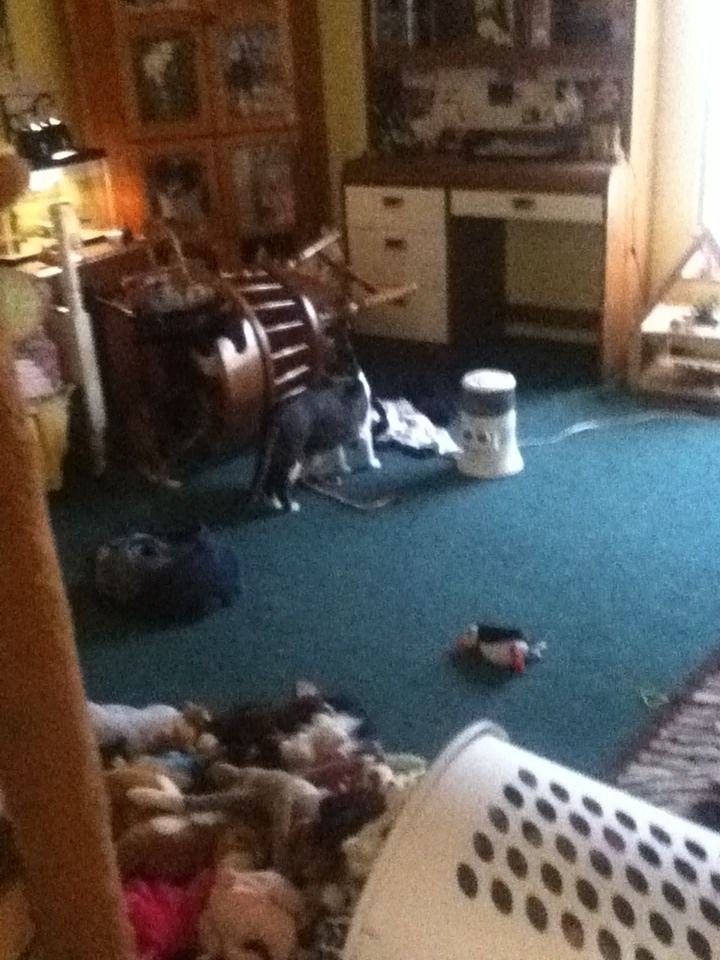 How to Clean Your Room : 8 Steps - Instructables