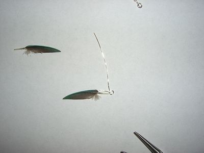 How to Wire Wrap a Feather - Method 1 : 4 Steps (with Pictures ...