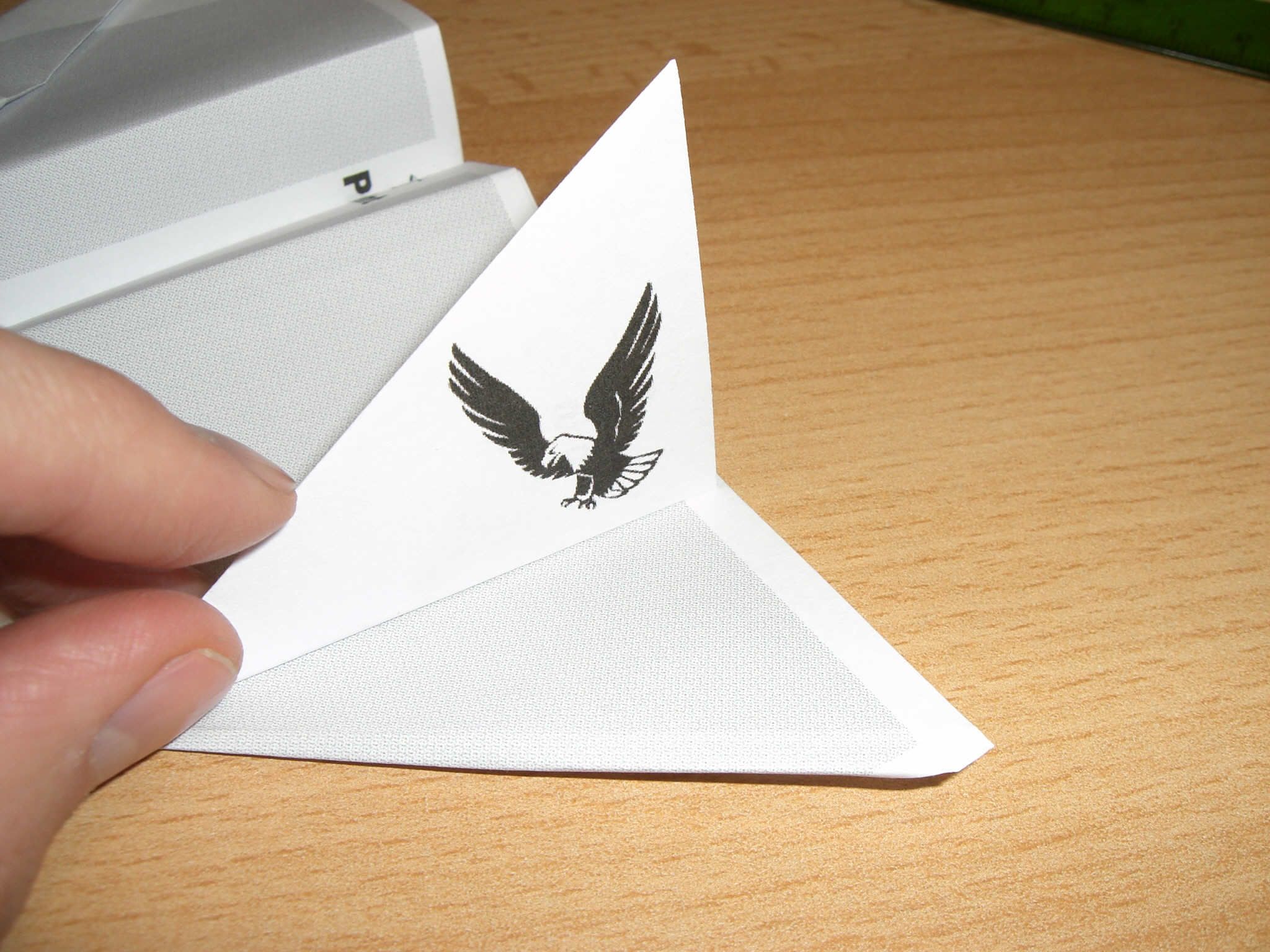 The Eagle Jet Paper Airplane "you Cannot Hide" ;-) : 8 Steps ...