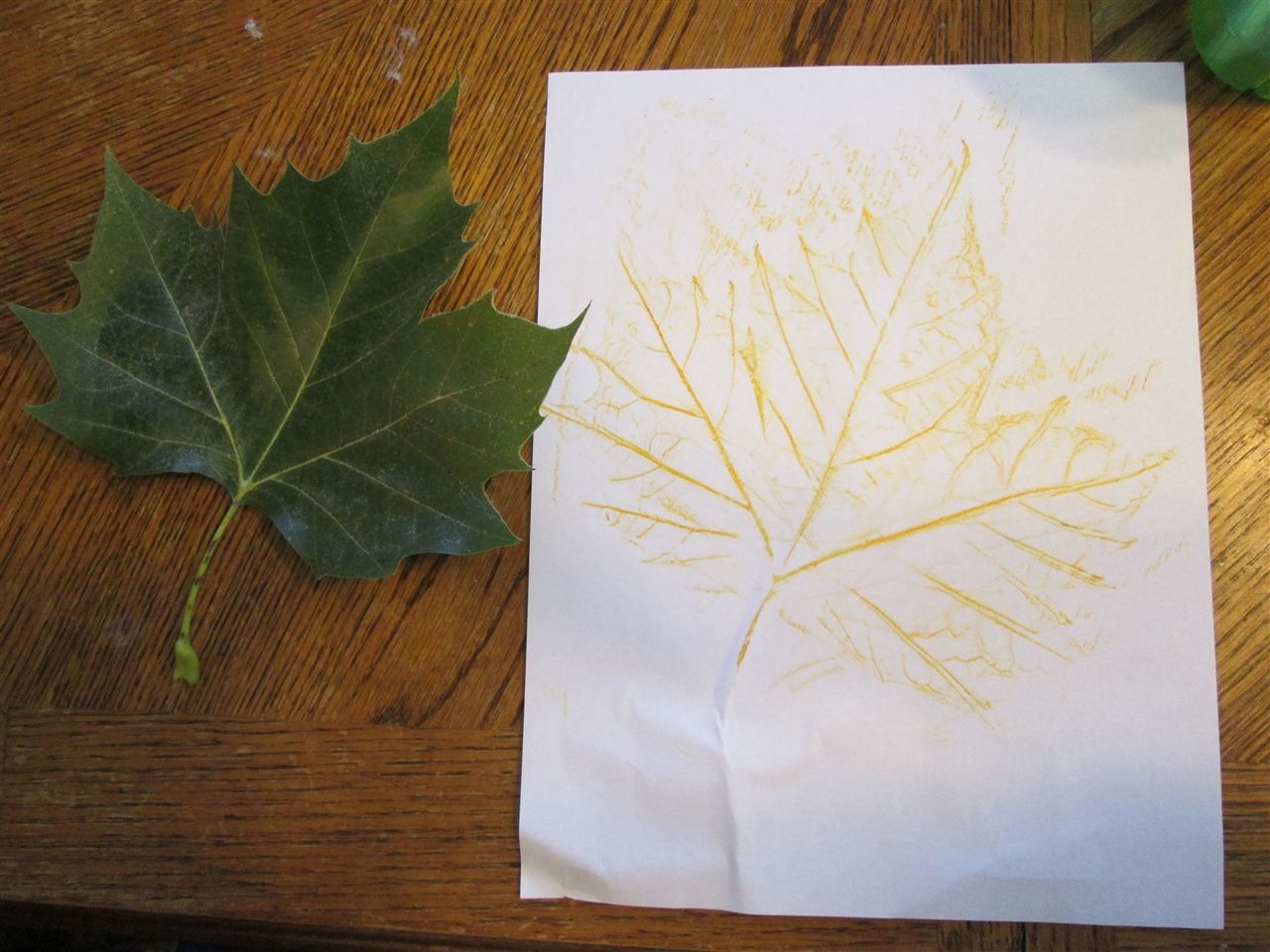 DIY Construction Paper Solar Prints : 6 Steps (with Pictures ...