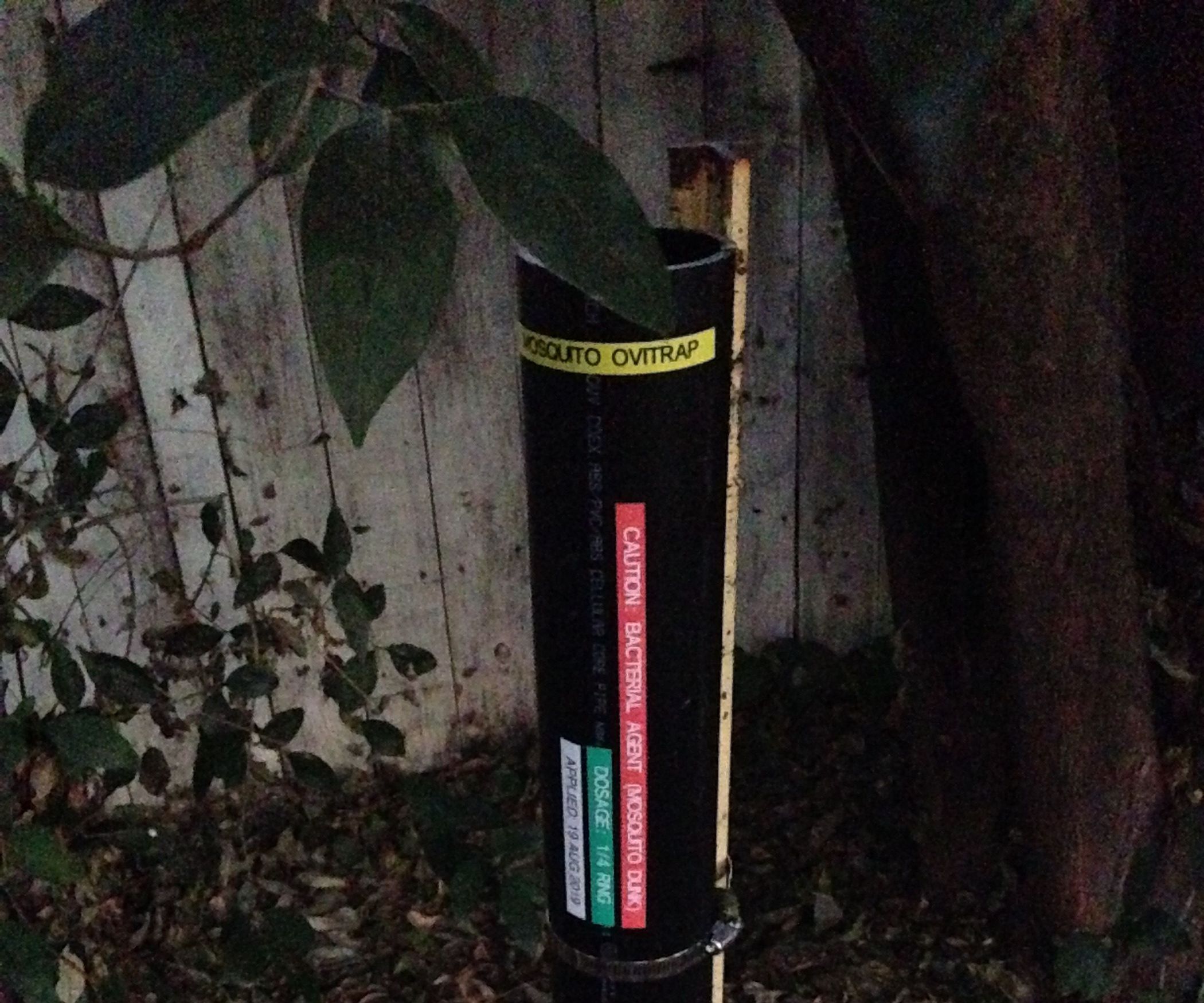 Mosquito Ovitrap : 5 Steps - Instructables