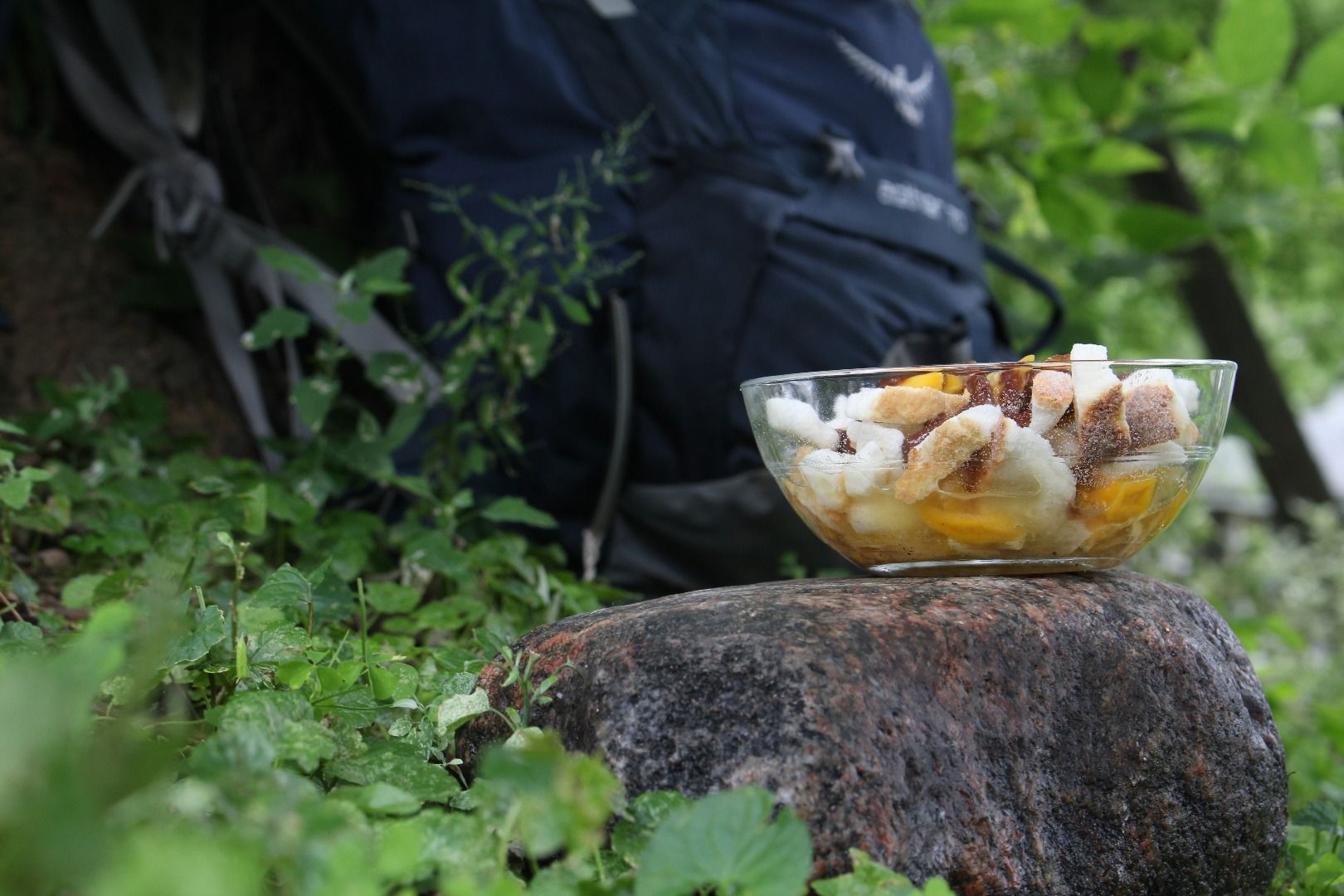 Gourmet Backpacking Desserts : 19 Steps (with Pictures) - Instructables