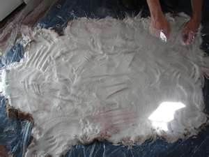 Everything You Need to Know About Tanning Animal Pelts. : 9 Steps ...