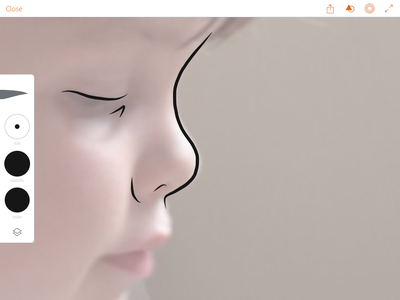 Digital Portraits Made Easy : 8 Steps (with Pictures) - Instructables