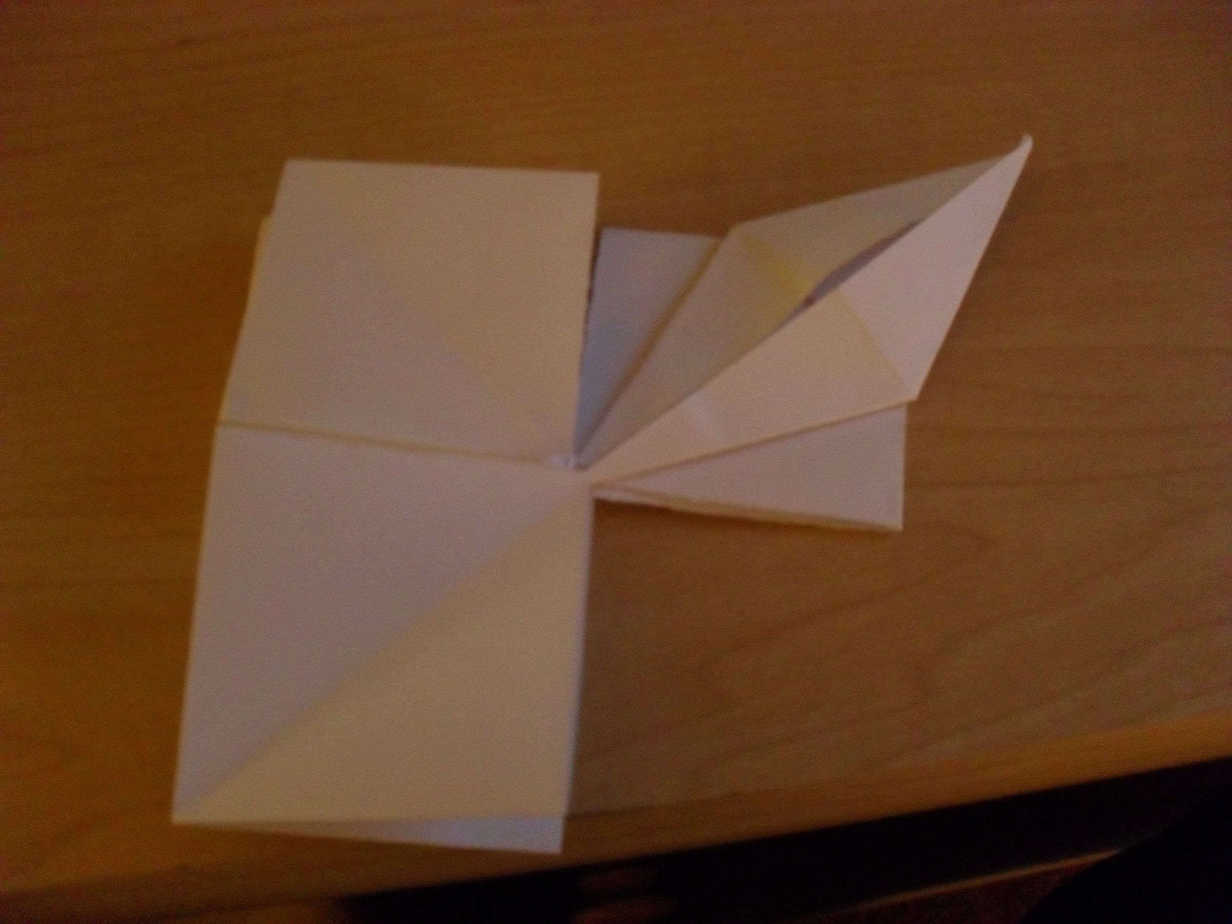 Origami Senbazuru Cranes (Kissing) : 6 Steps - Instructables