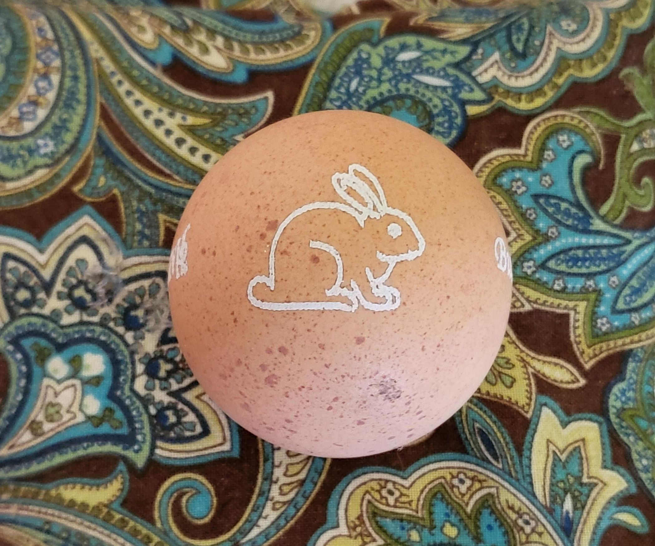 Laser-engraved Eggs : 5 Steps - Instructables