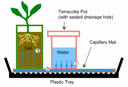 Self Watering Tray - Instructables