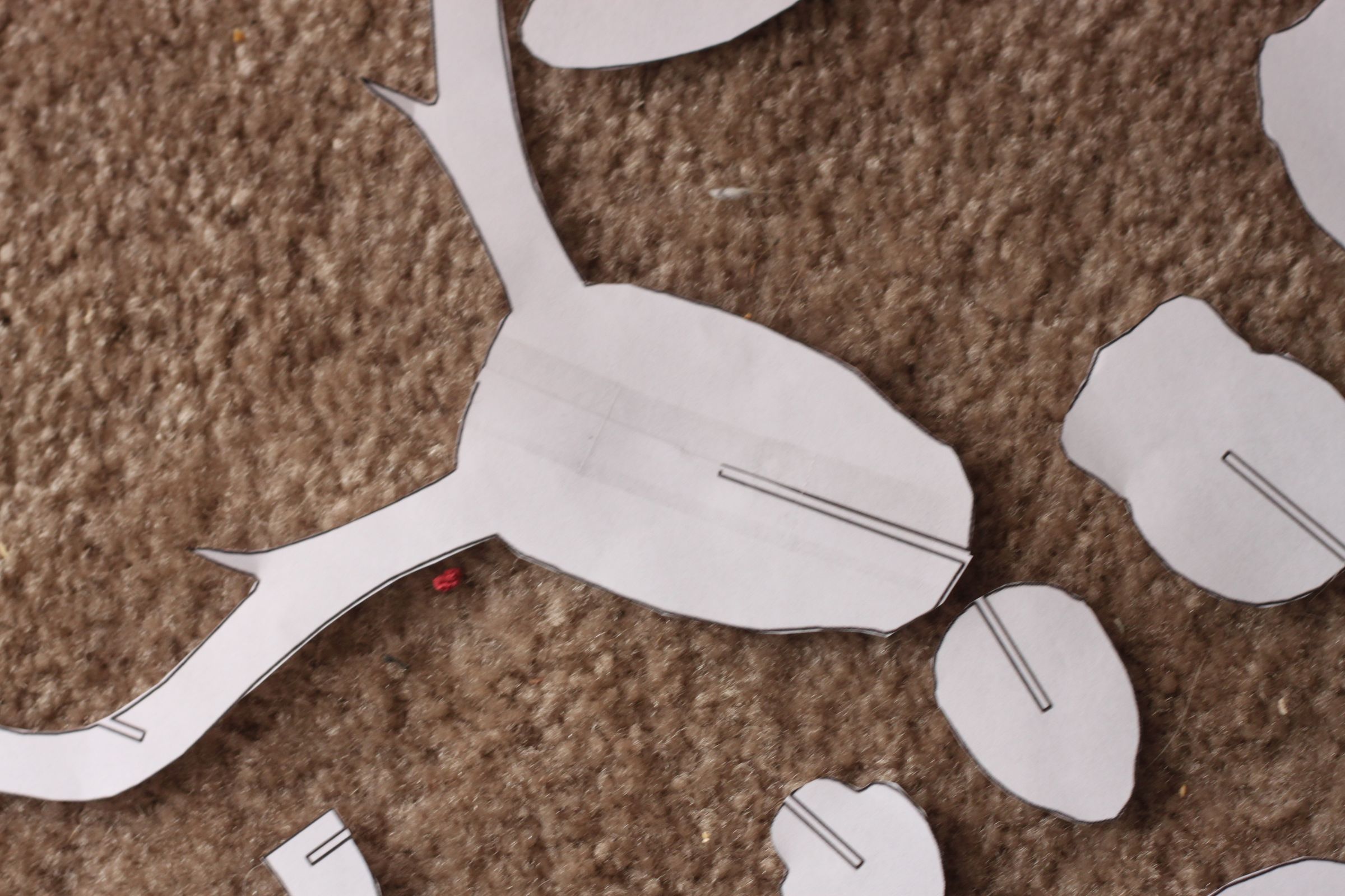 DIY Cardboard Deer Head : 5 Steps (with Pictures) - Instructables