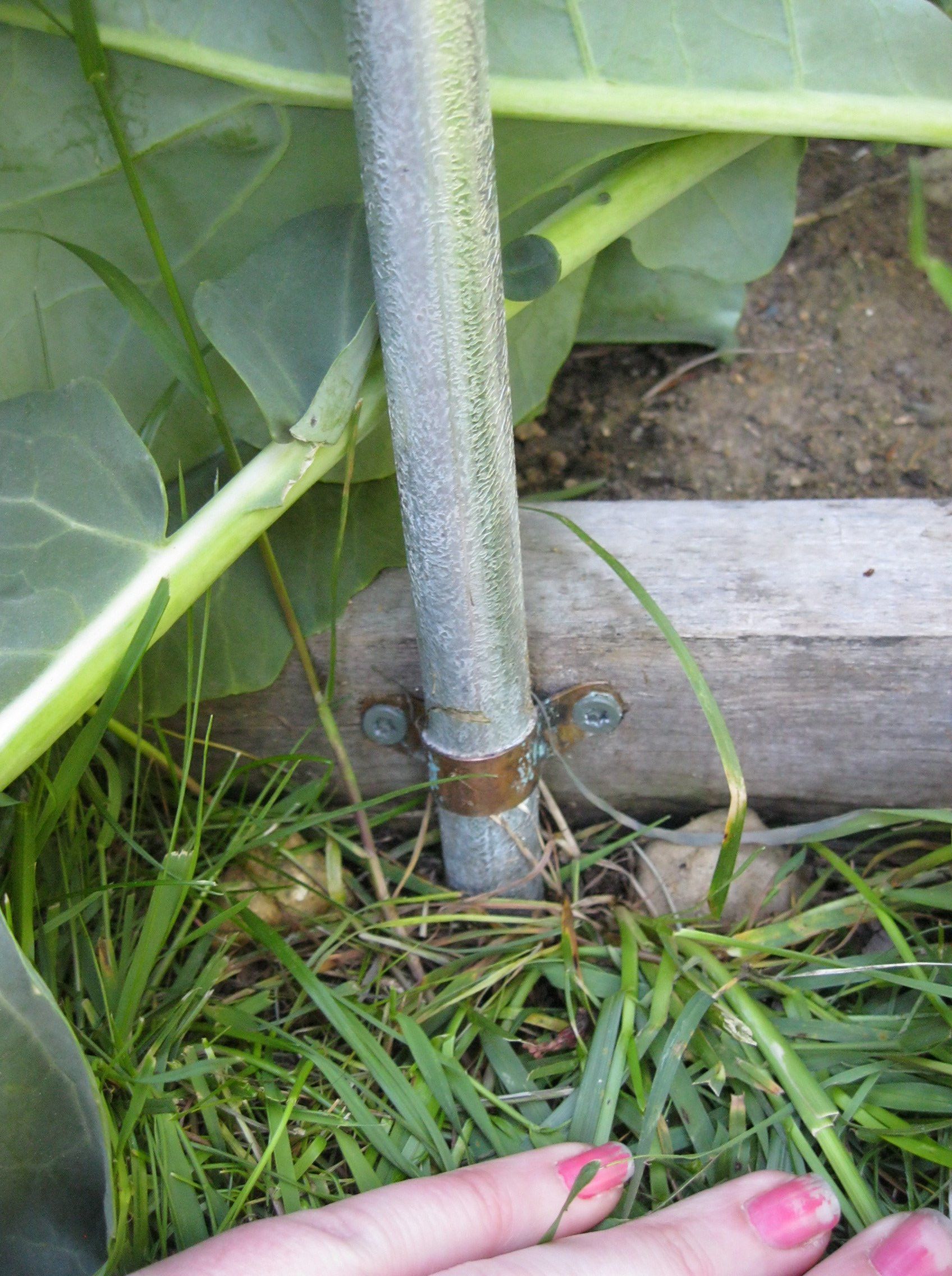 Hoop Houses- Gardening All Year Long in New England. : 4 Steps (with ...