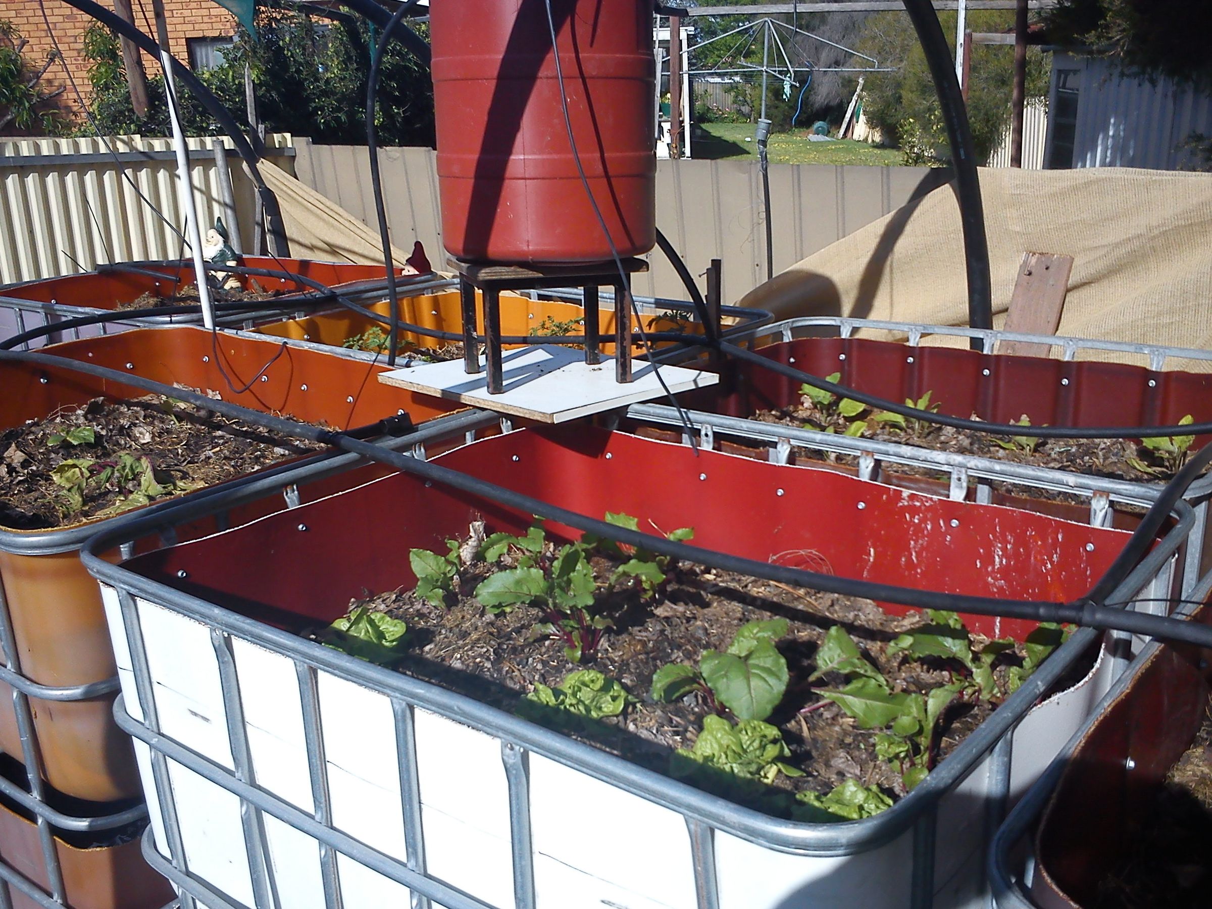 Vermiponic Garden : 12 Steps (with Pictures) - Instructables