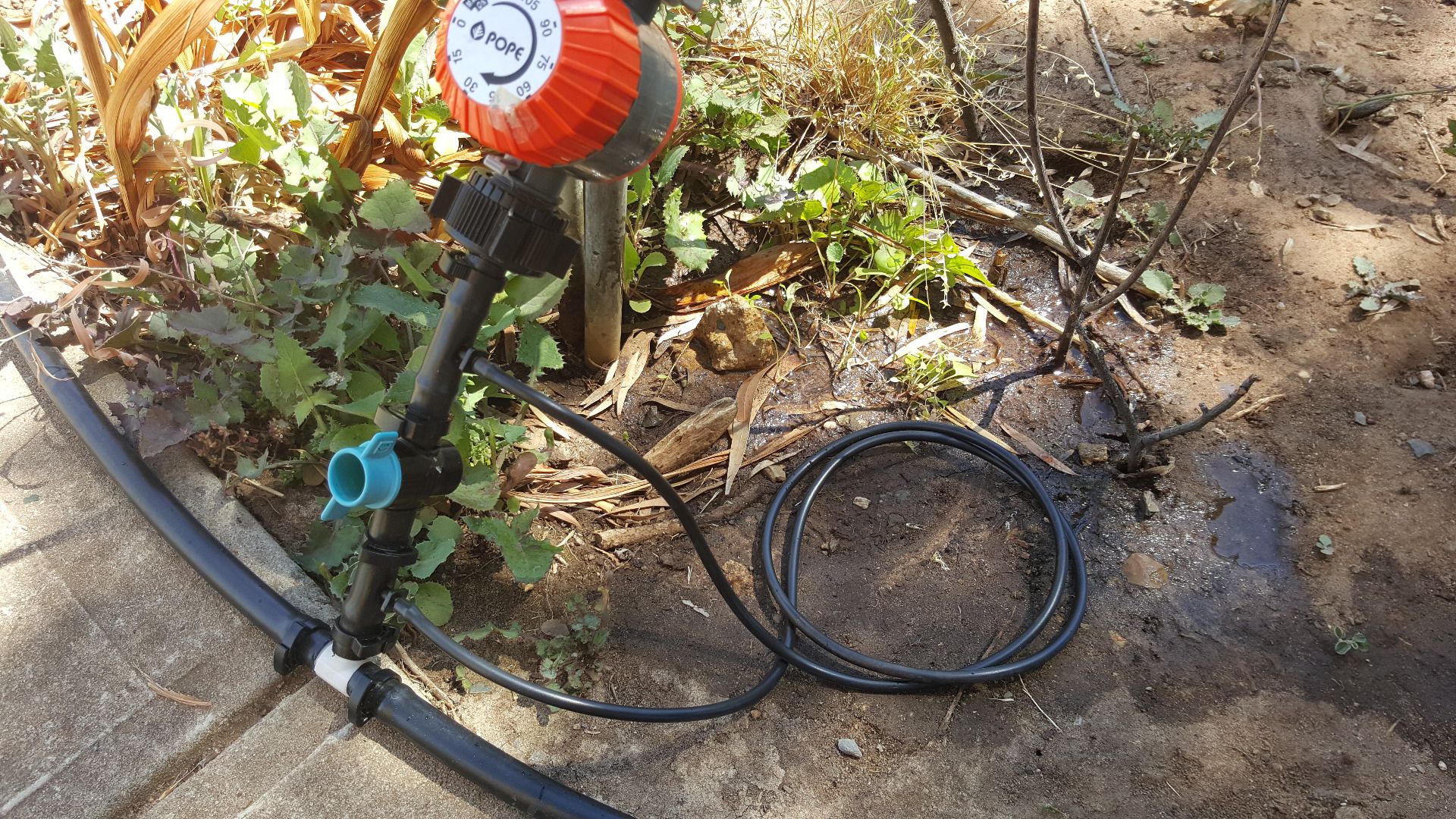 Fertigation : 5 Steps (with Pictures) - Instructables