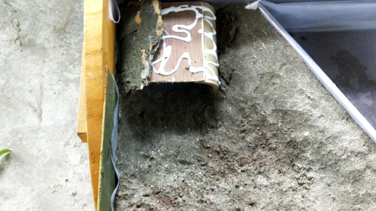 Turtle Habitat for Baby Turtles | Homemade Turtle Garden : 18 Steps ...