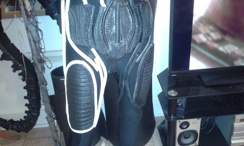 Full Size Xenomorph : 6 Steps (with Pictures) - Instructables