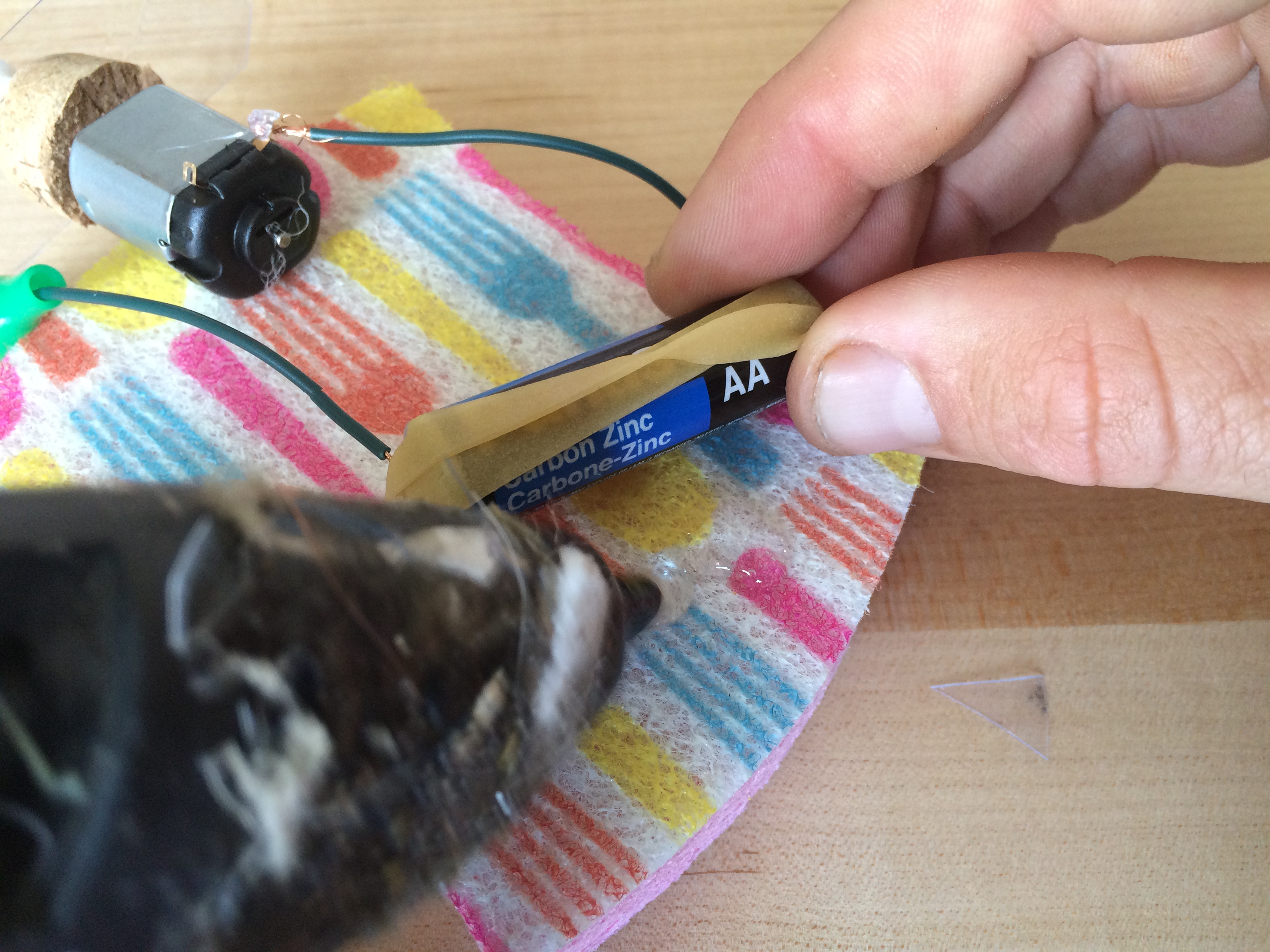 Sponge Motorboat : 6 Steps (with Pictures) - Instructables