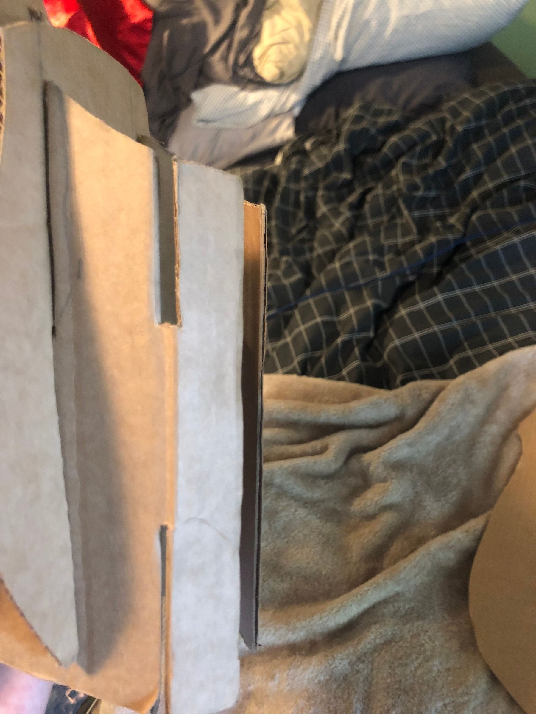 Cardboard Rabbit : 11 Steps - Instructables