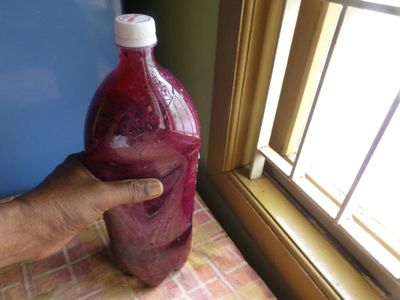 How to Make Jamun Wine : 8 Steps (with Pictures) - Instructables