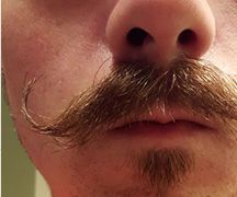 Taming a Mustache : 6 Steps (with Pictures) - Instructables