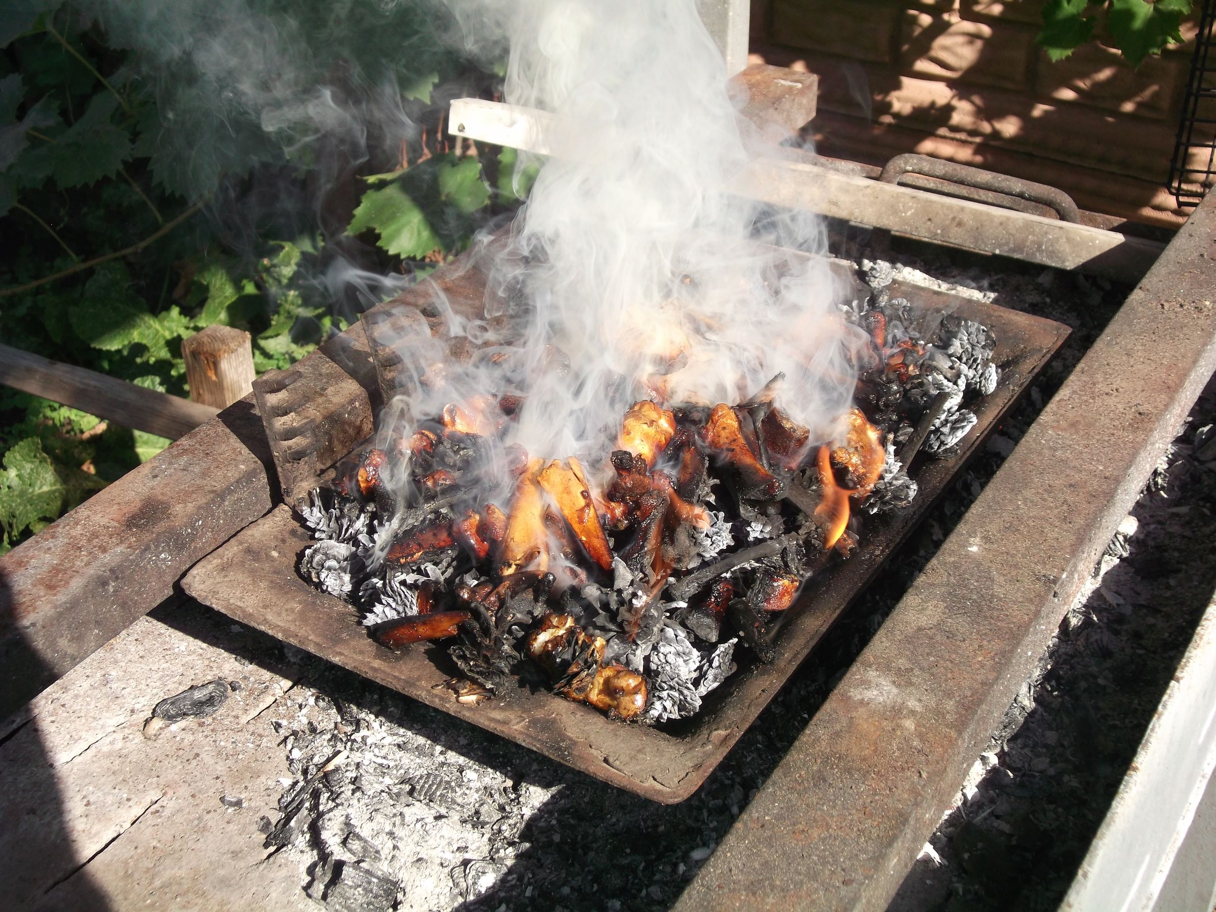 Processing Animal Bones for Composting (the Easy Way) : 7 Steps (with ...