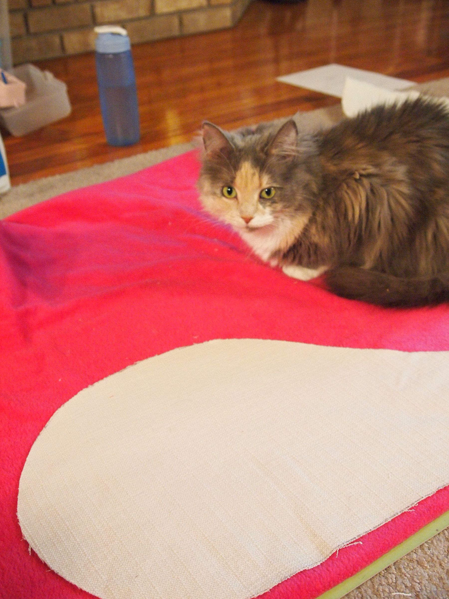 How to Sew a Fish Cat House : 8 Steps (with Pictures) - Instructables