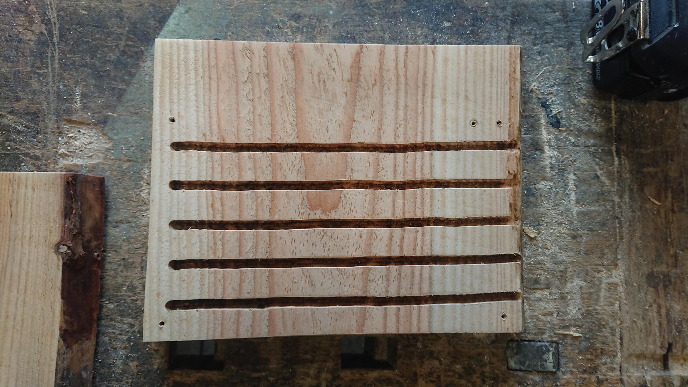 Bee Observatory : 4 Steps (with Pictures) - Instructables