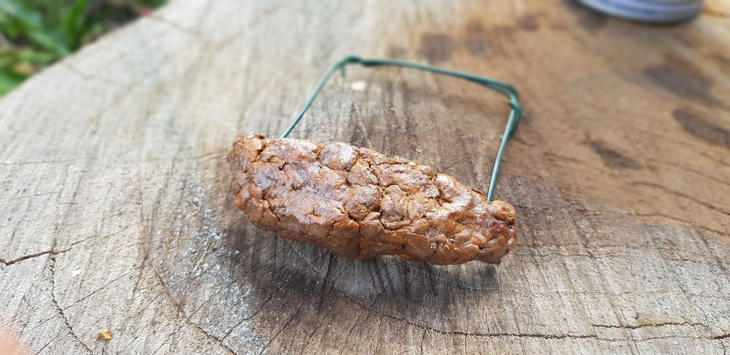 There's Poo on Your Shoe : 5 Steps (with Pictures) - Instructables