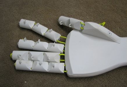 Science Fair - Articulated Hand