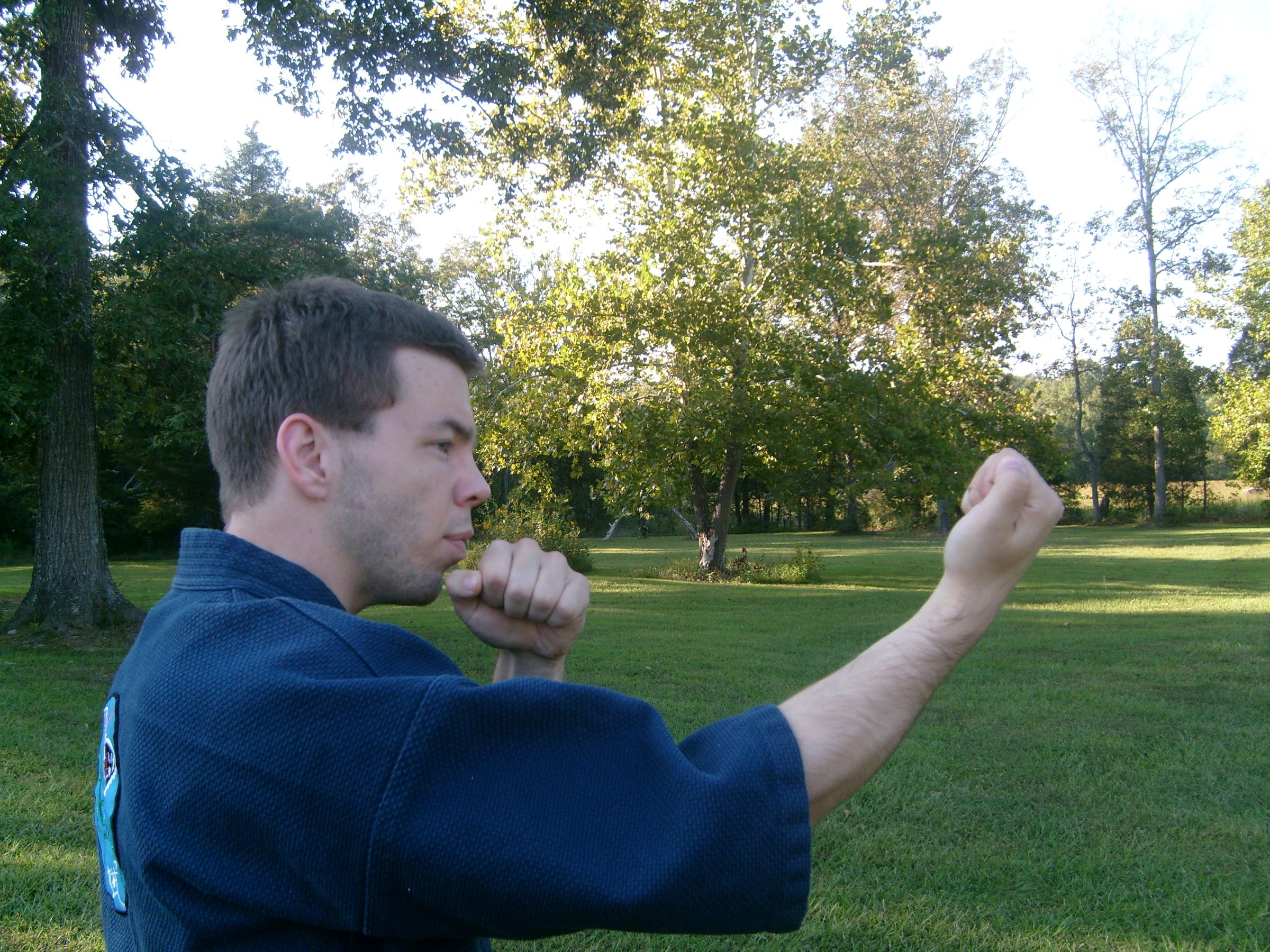 How to Throw a Punch : 6 Steps (with Pictures) - Instructables