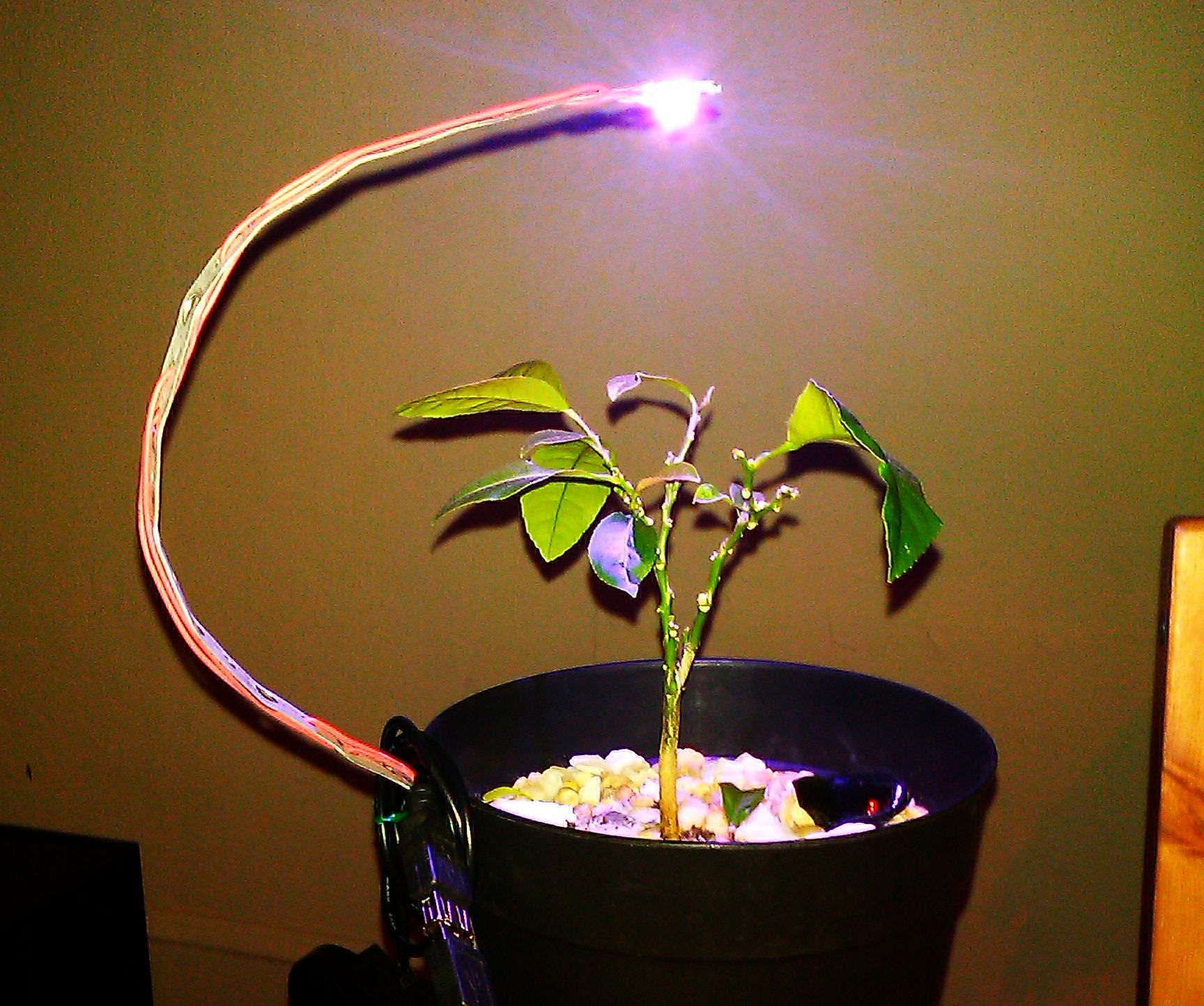 How to Make a USB Greenhouse - Instructables