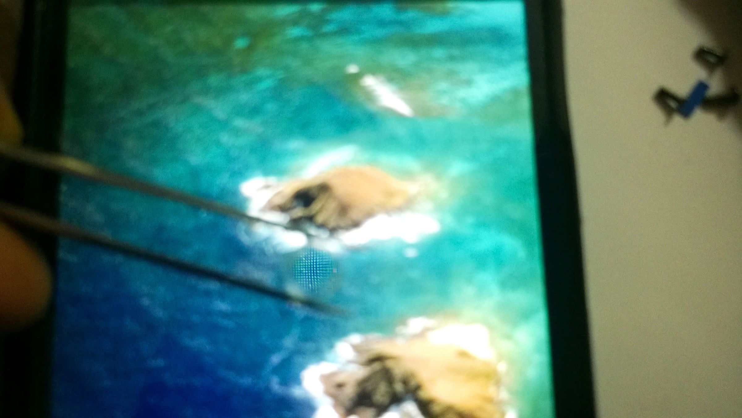 Parts to Salvage From a DVD/CD Player : 10 Steps - Instructables