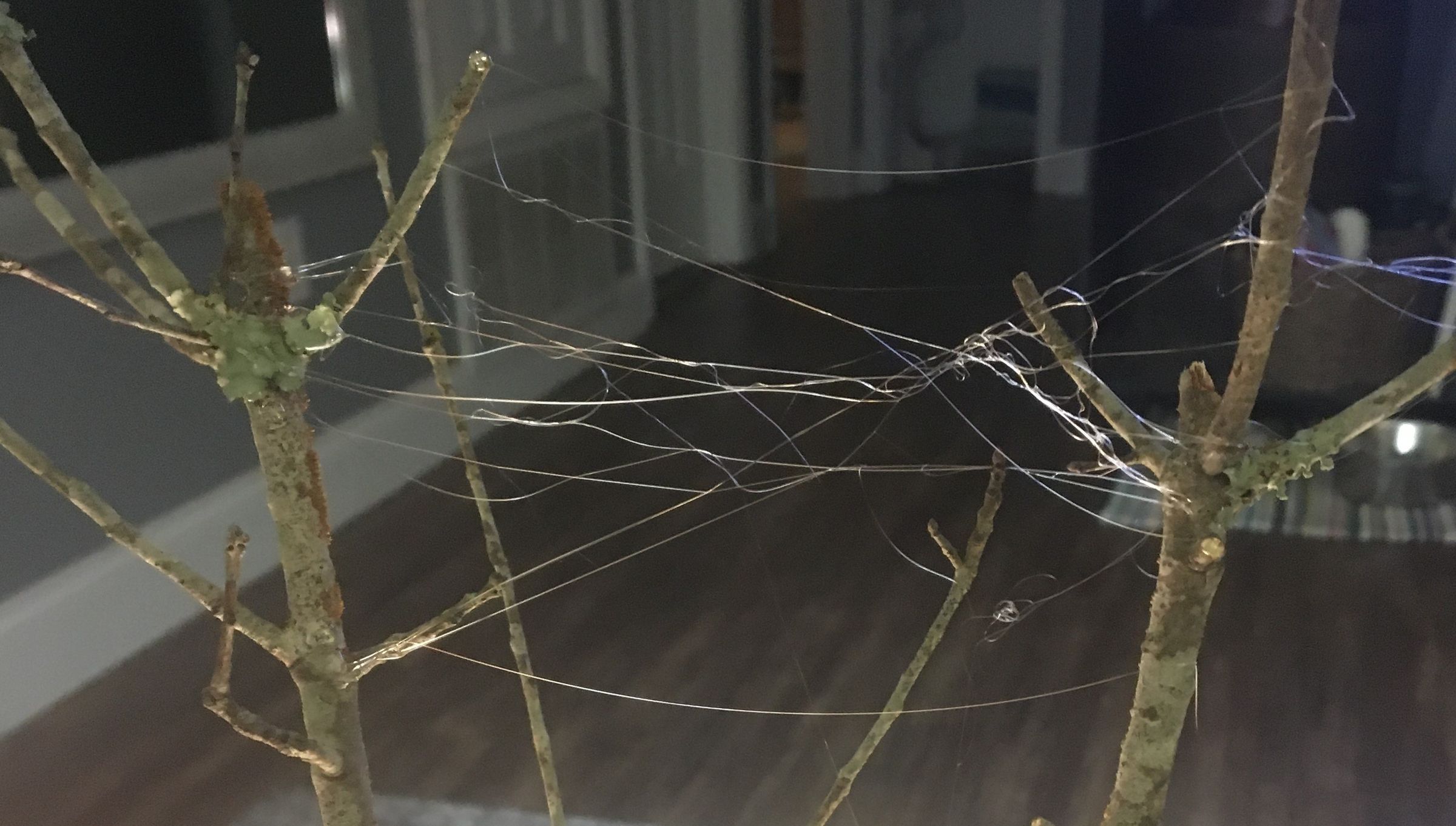 Hot Glue Special Effects : 11 Steps (with Pictures) - Instructables