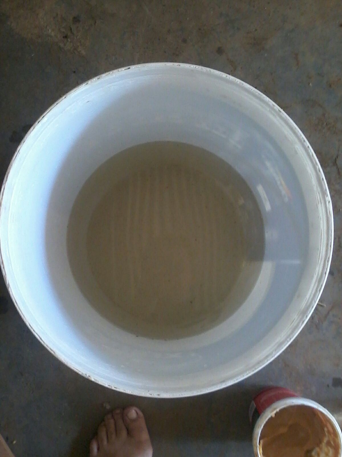 Bucket Rat/mouse Trap : 3 Steps - Instructables