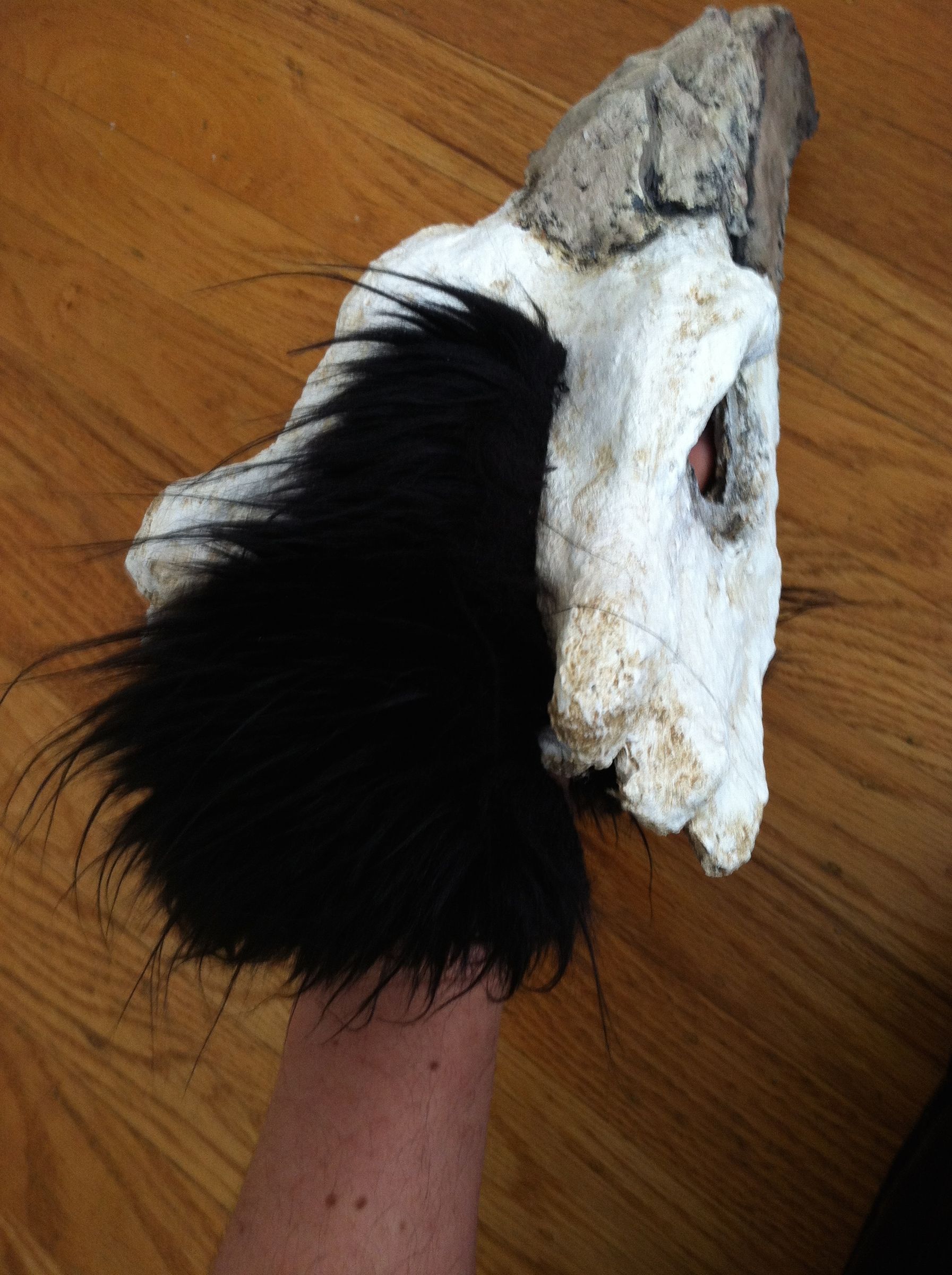 Bird Skull Puppet : 7 Steps (with Pictures) - Instructables