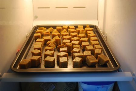 Gel Fish Food : 10 Steps (with Pictures) - Instructables