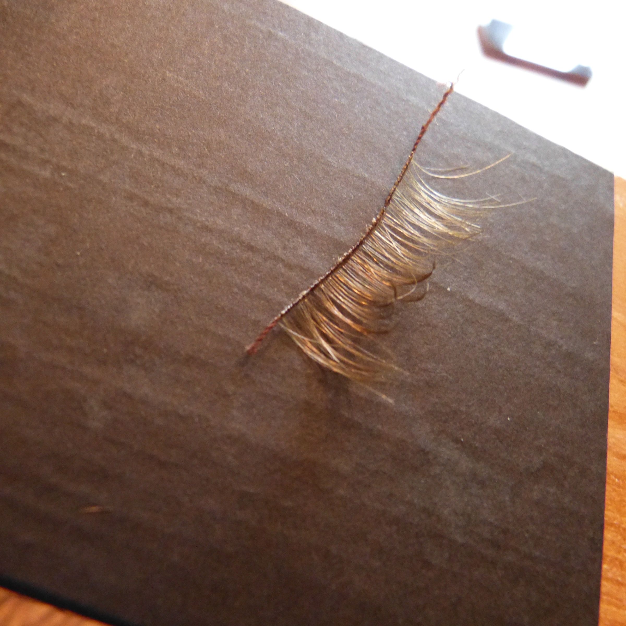 DIY Lashes From Own Hair : 9 Steps (with Pictures) - Instructables