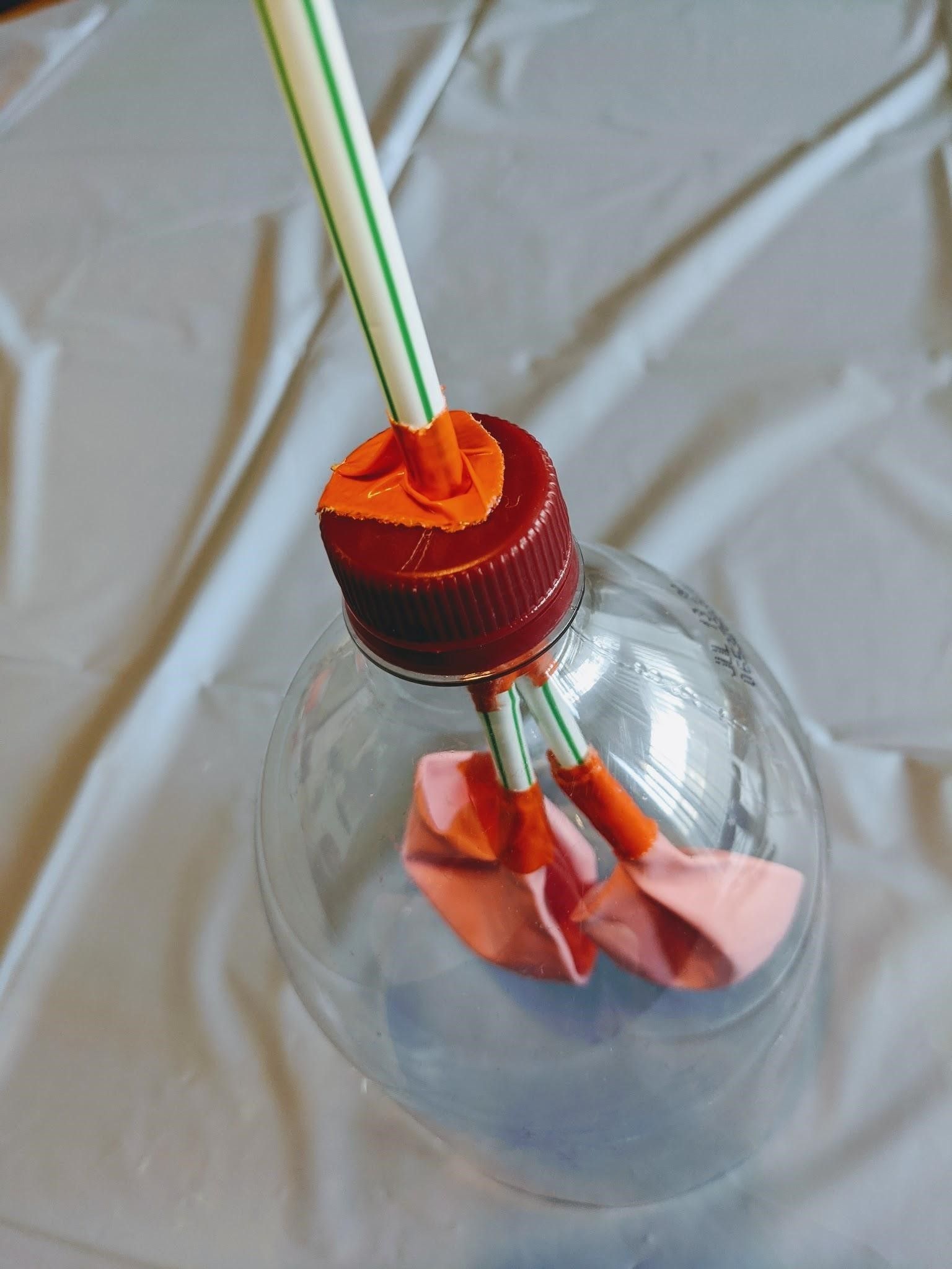 Make a Human Lung Model : 9 Steps (with Pictures) - Instructables