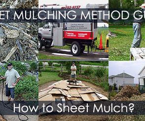 sheet mulching howto DIY Project - Step-by-Step DIY Project | FindingDIY